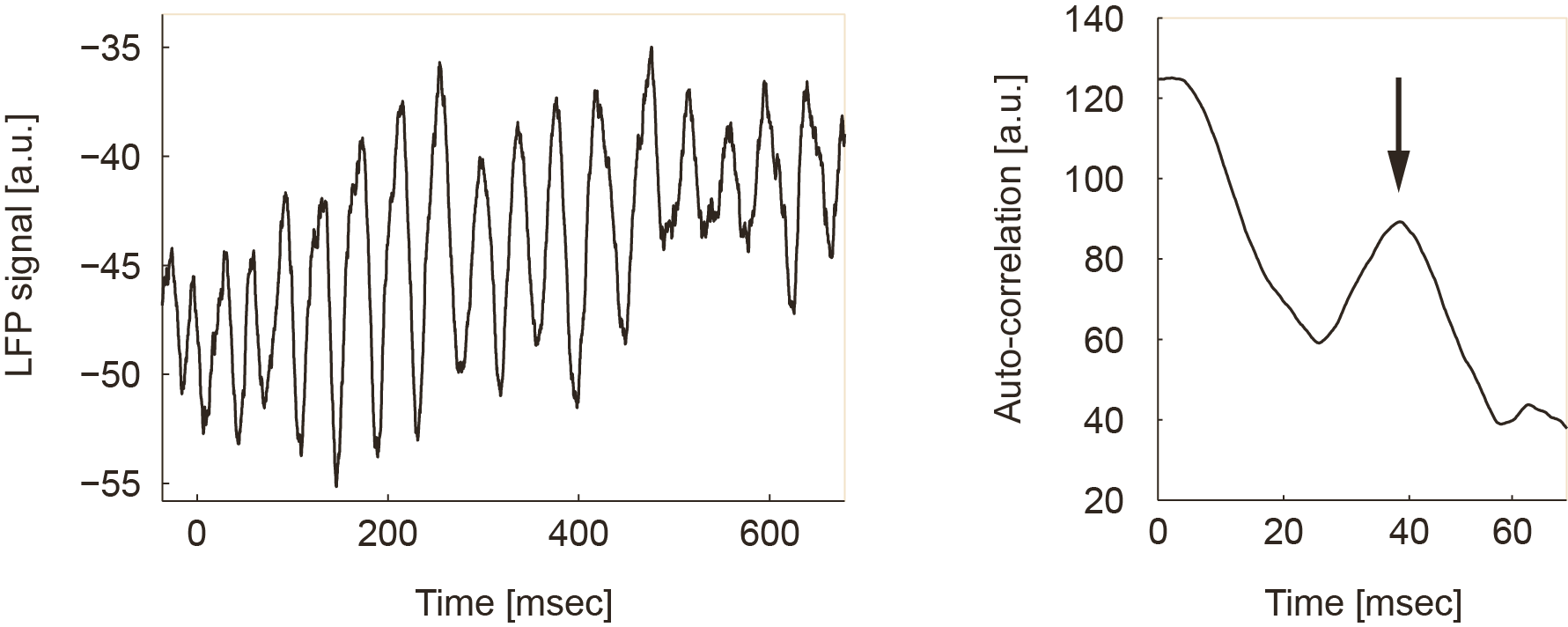 The power of correlation functions | A blog about neurophysiology