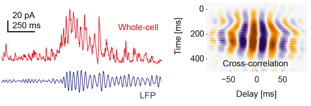 The power of correlation functions | A blog about neurophysiology