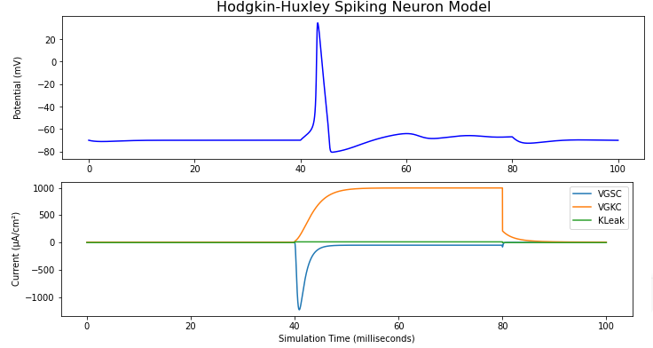 Hodgkin-Huxley model in current clamp and voltage clamp | A blog about ...