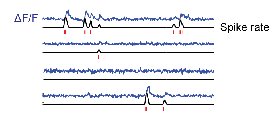 5 reasons why to use Cascade for spike inference | A blog about ...