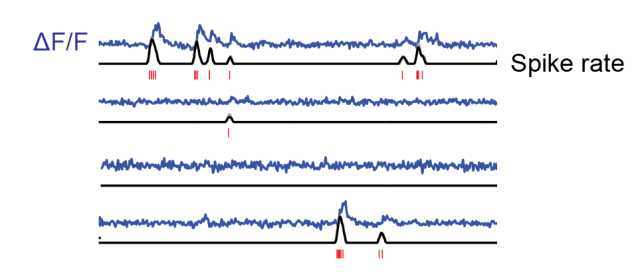 5 reasons why to use Cascade for spike inference | A blog about ...